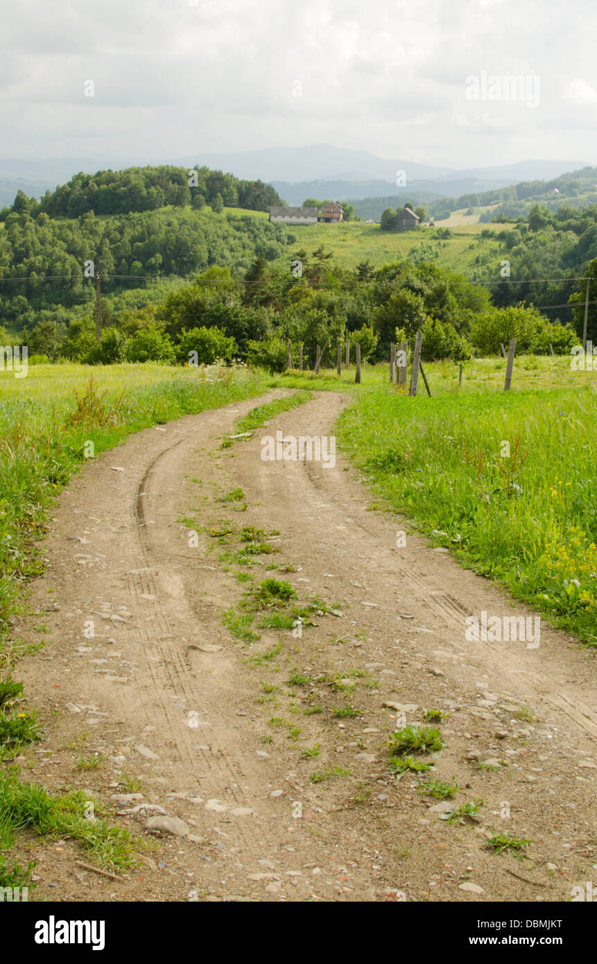 Sandy road through the forest, with mountains in the background Stock ...