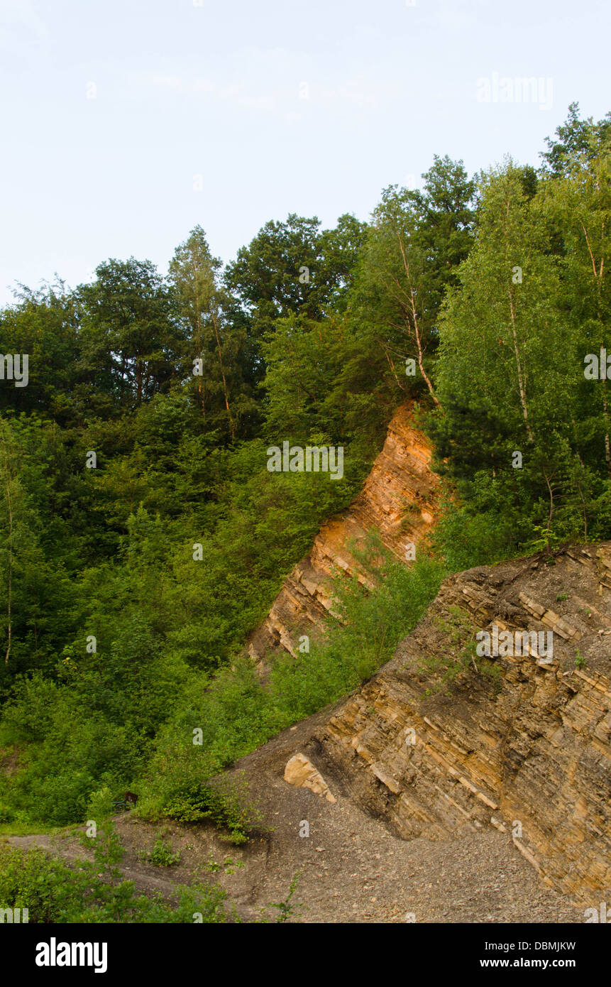 rock landslide in the forest Stock Photo - Alamy