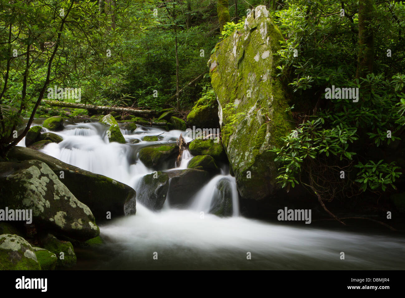 Roaring Forks Motor Trail in the Great Smoky Mountains Stock Photo - Alamy
