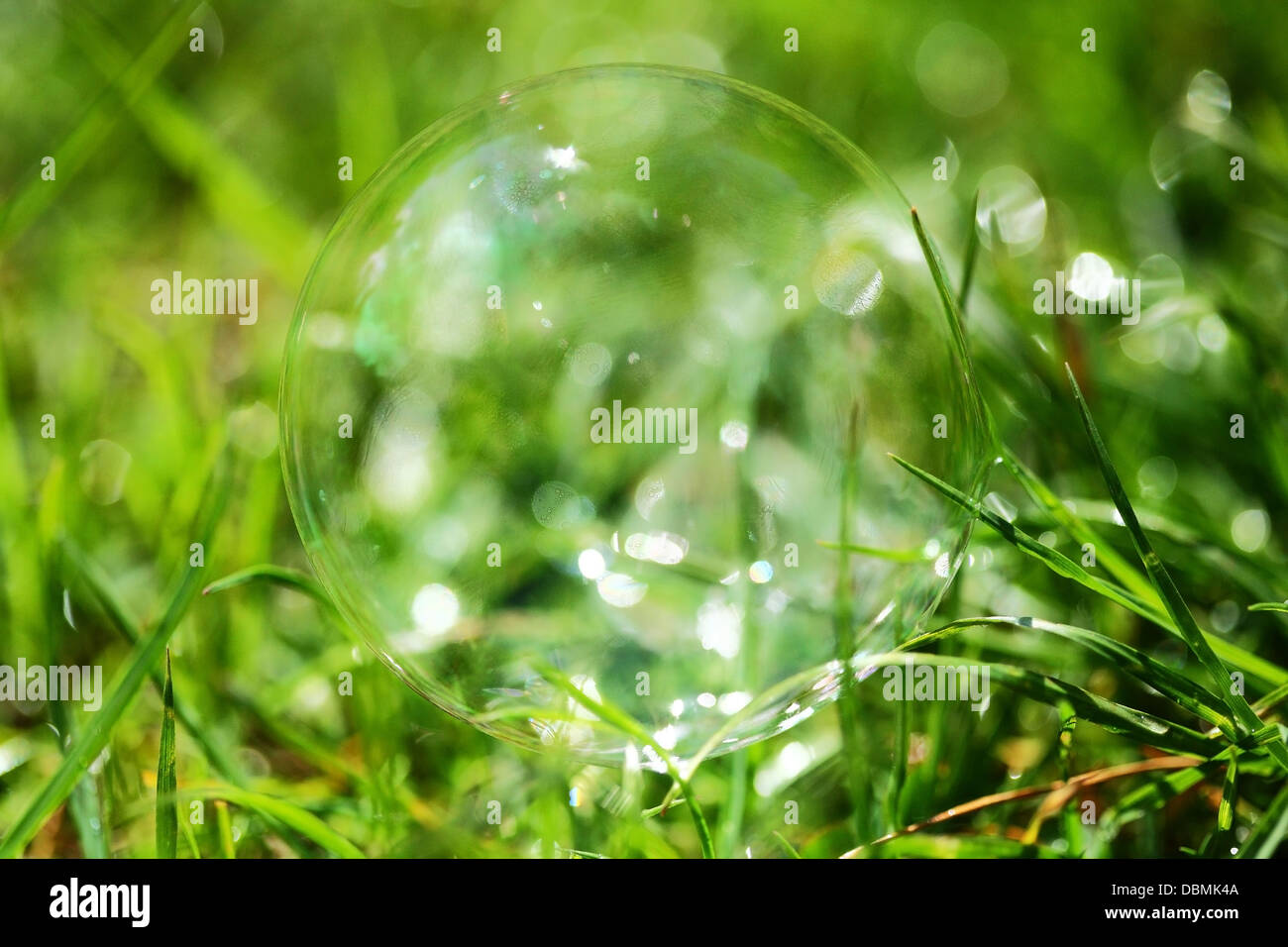 bubble in grass Stock Photo - Alamy