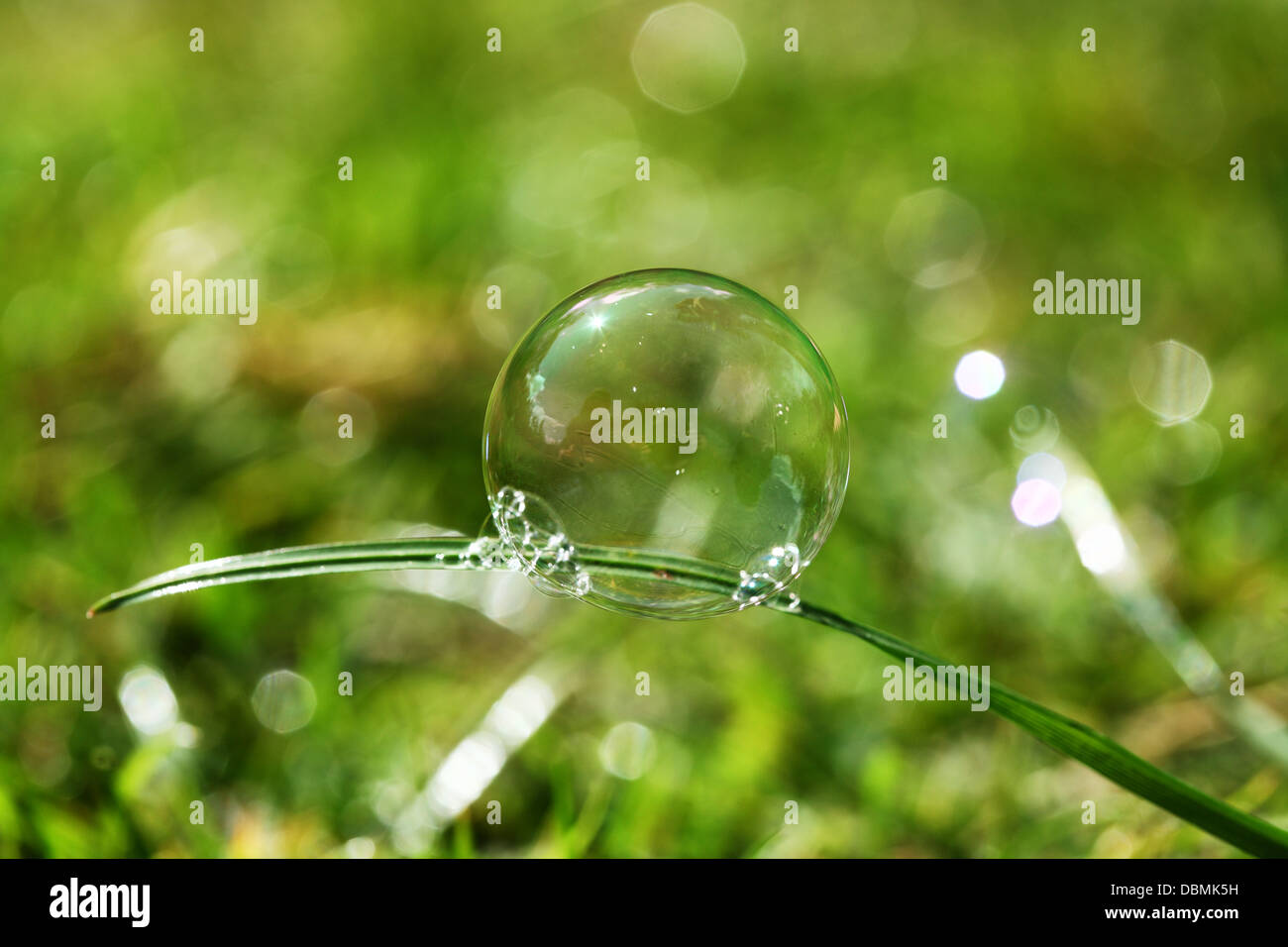 bubble in grass Stock Photo - Alamy