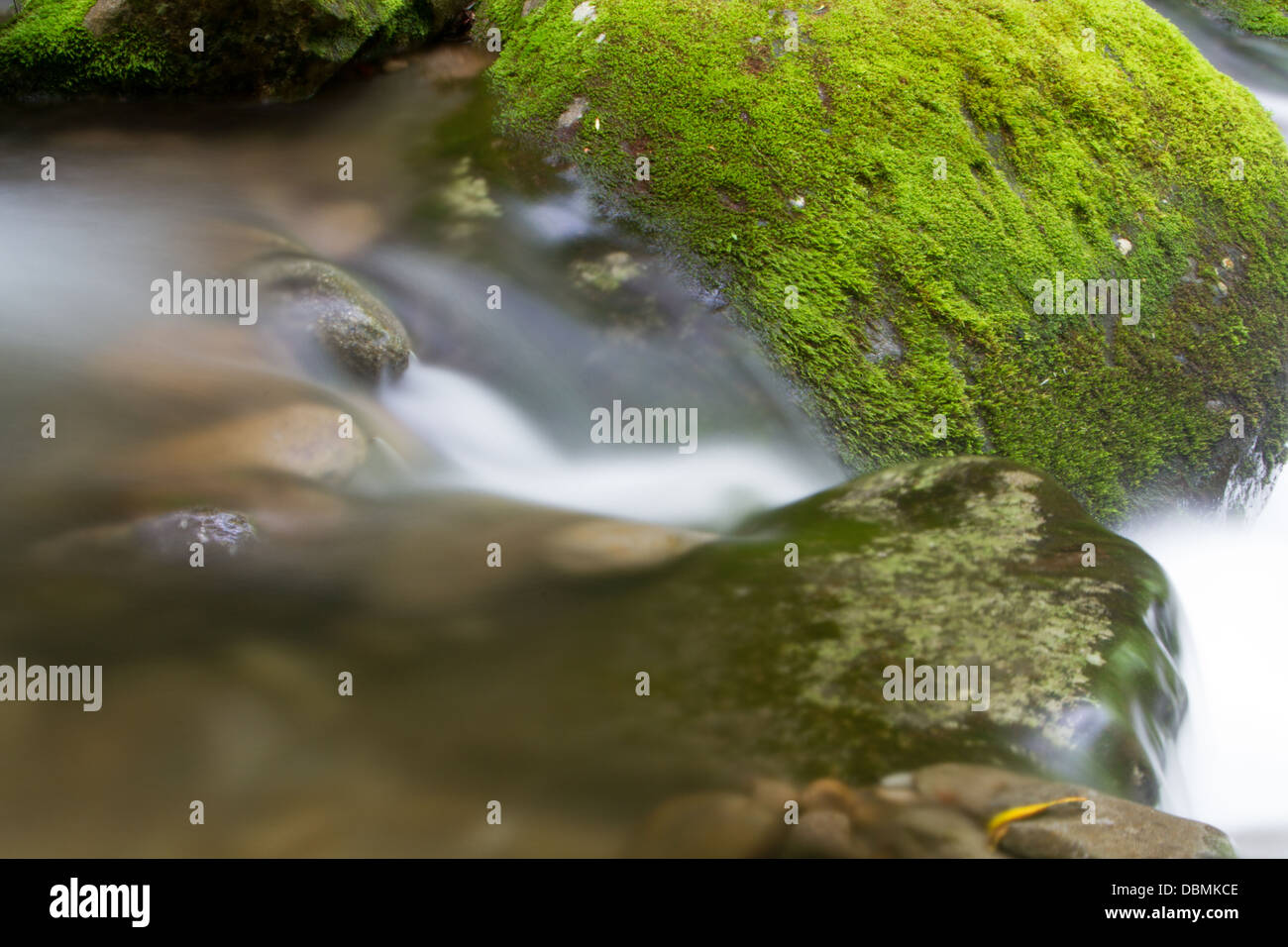 Silky water and moss covered rocks along the Great Smoky Mountains ...