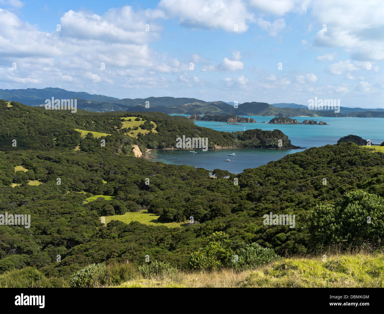 Urupukapuka island bay islands new hi-res stock photography and images ...