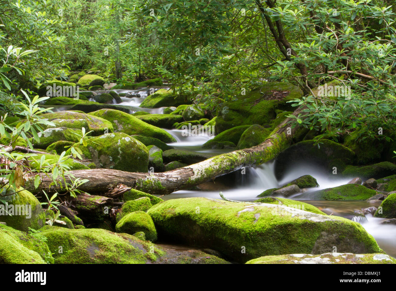 Silky water and moss covered rocks along the Great Smoky Mountains ...