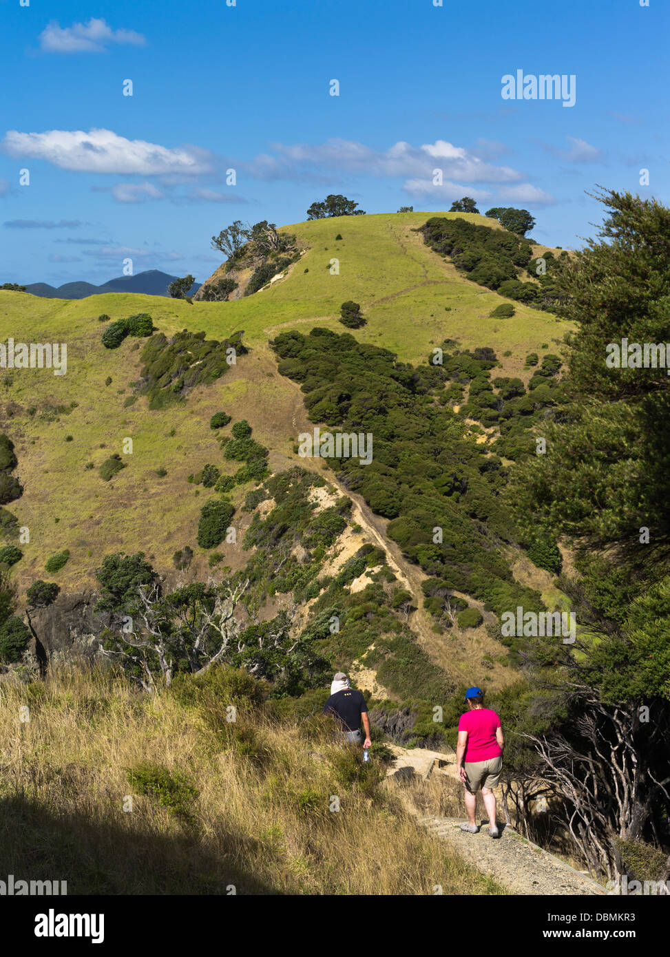 dh Urupukapuka Island BAY OF ISLANDS NEW ZEALAND Couple walking ...