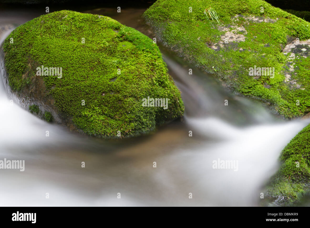 Silky water and moss covered rocks along the Great Smoky Mountains ...