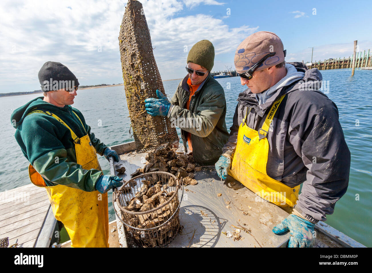 Three fisherman cleaning shell fish from their catch in the ocean Stock ...