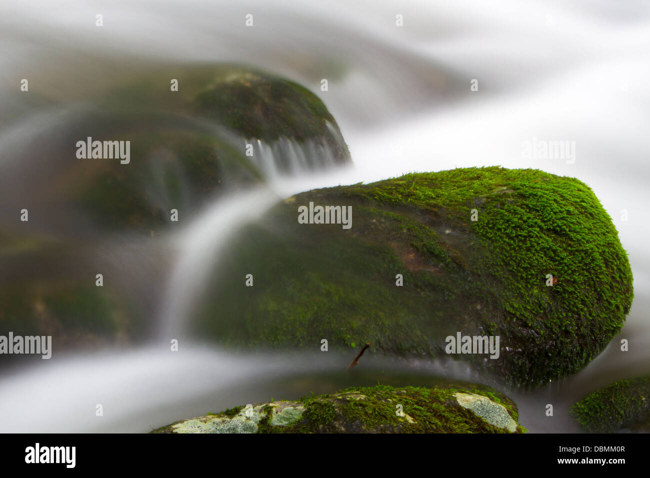 Silky water and moss covered rocks along the Great Smoky Mountains ...