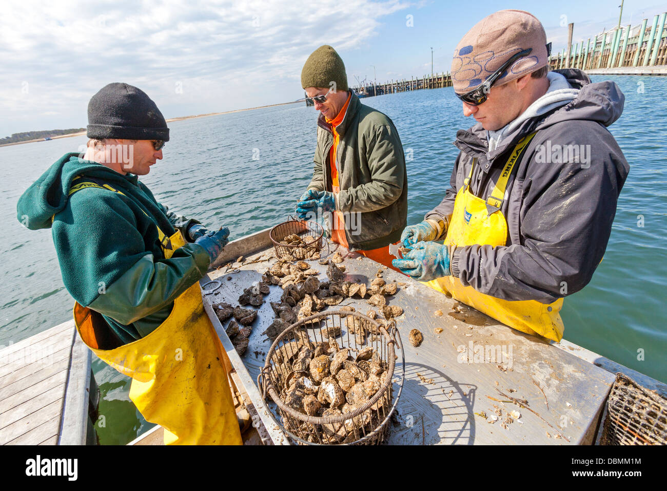Three fisherman cleaning shell fish from their catch in the ocean Stock ...