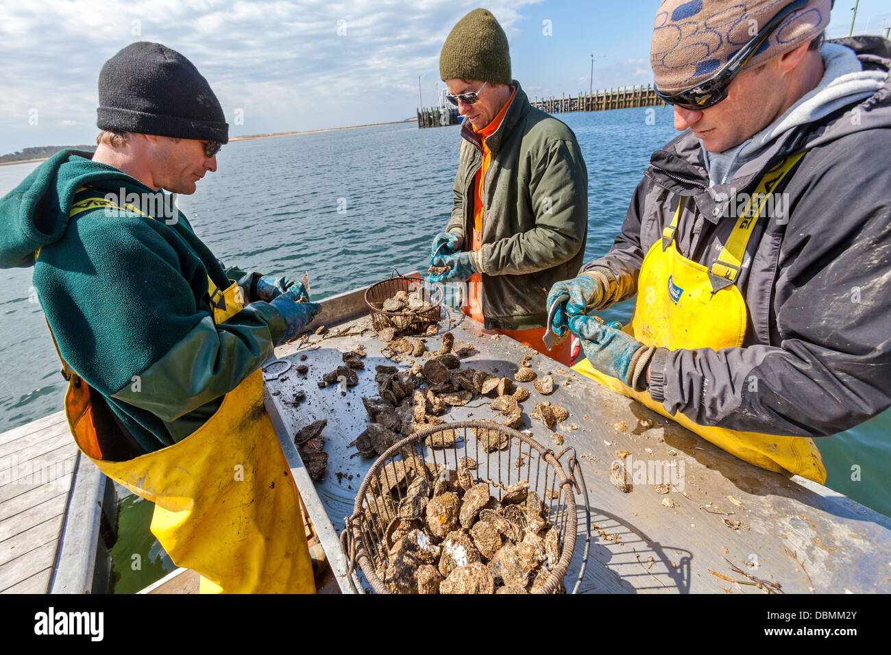Three fisherman cleaning shell fish from their catch in the ocean Stock ...