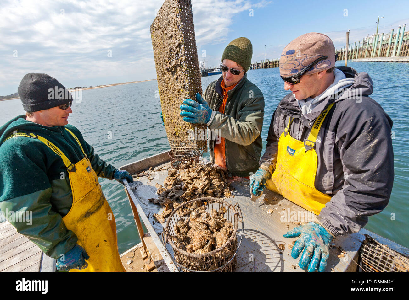 Three fisherman cleaning shell fish from their catch in the ocean Stock ...