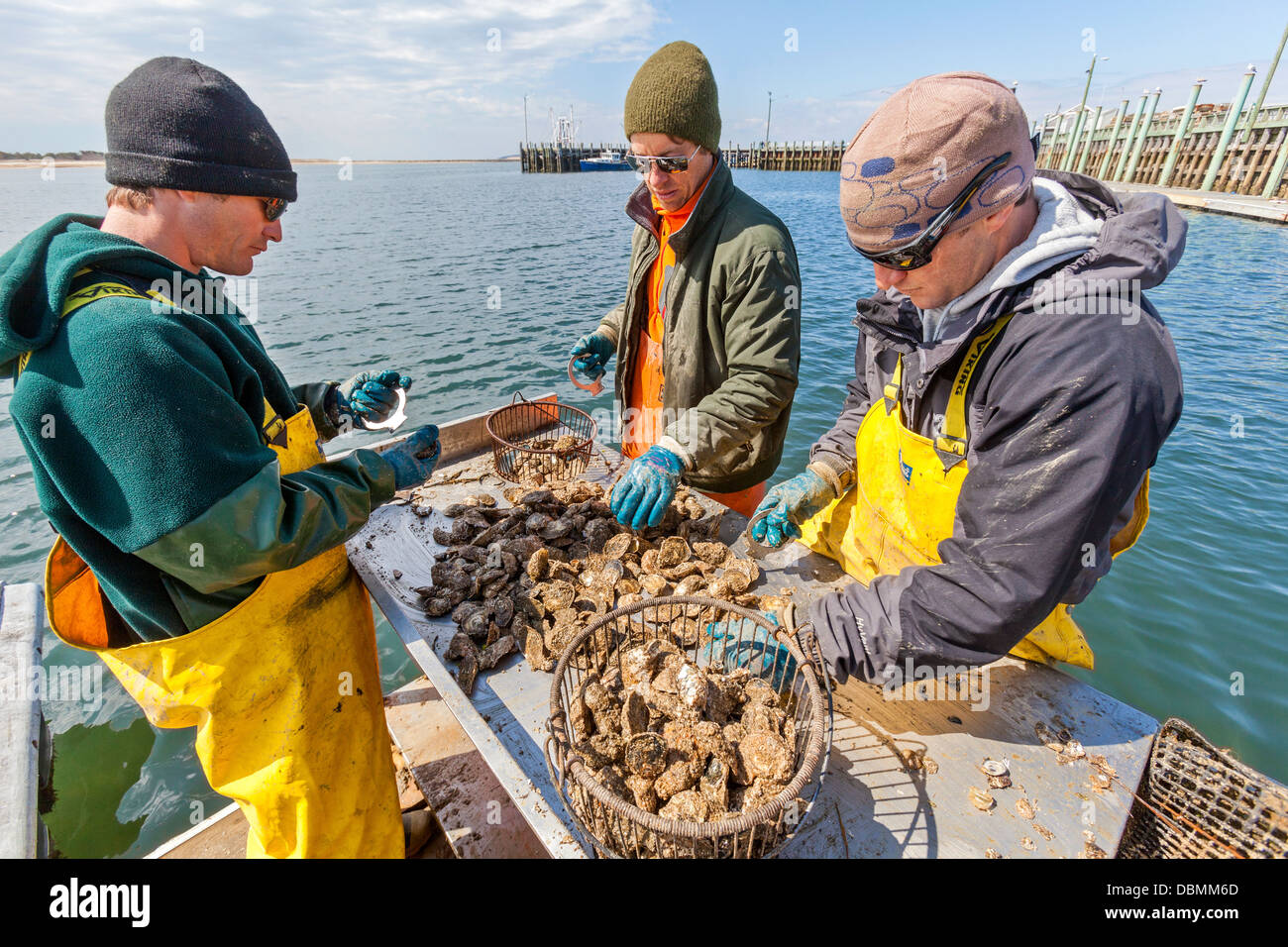 Three fisherman cleaning shell fish from their catch in the ocean Stock ...