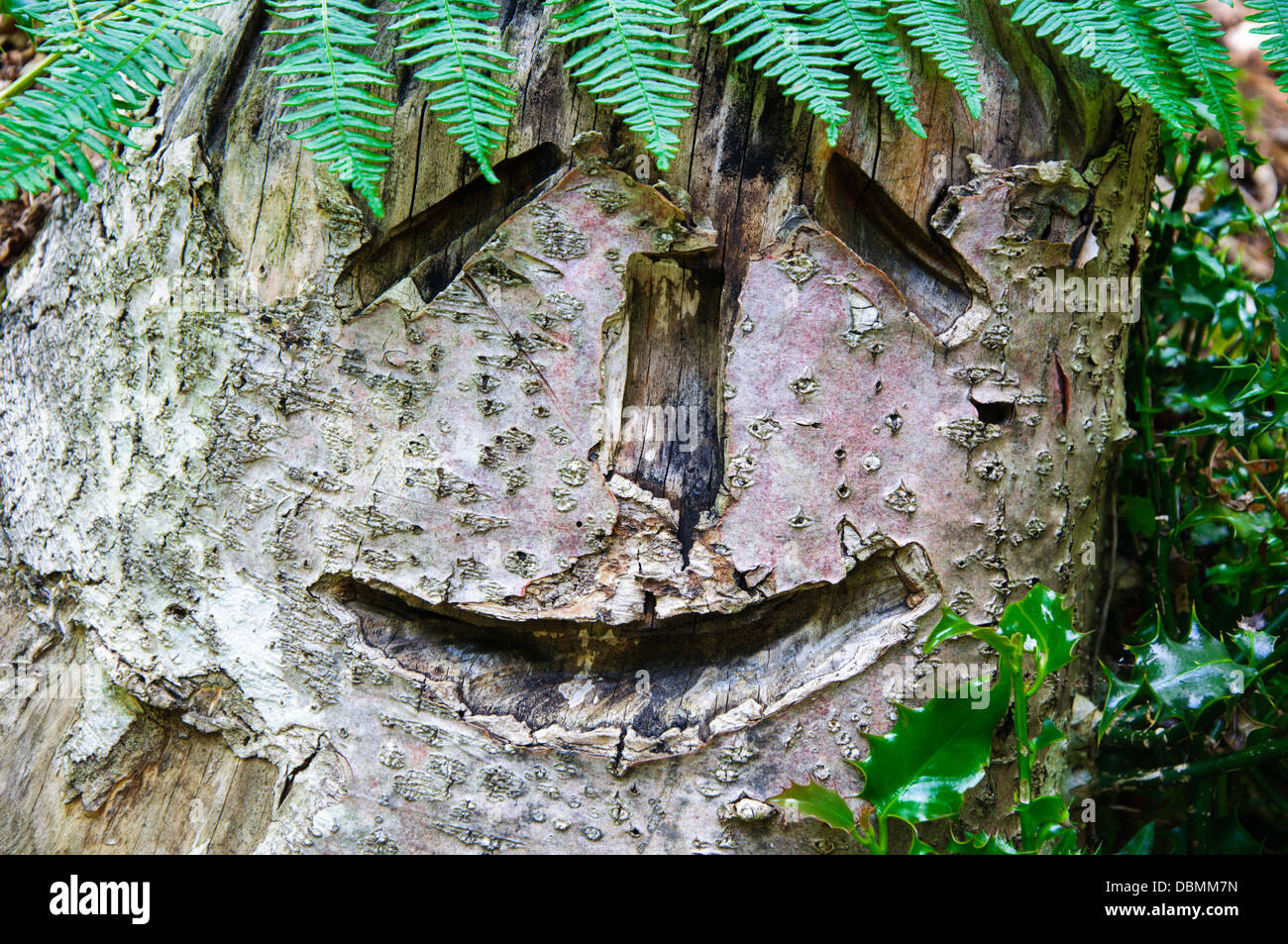 Smiley face roughly carved into a tree Stock Photo - Alamy