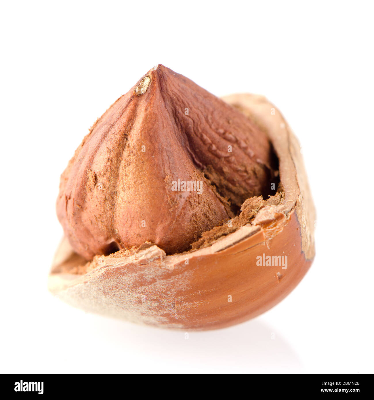 Cracked hazelnut close up isolated on white background Stock Photo - Alamy