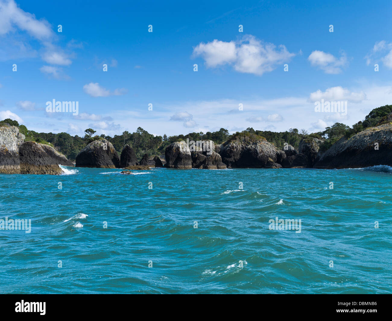 dh Moturoa island BAY OF ISLANDS NEW ZEALAND Volcanic Black Rocks Stock ...