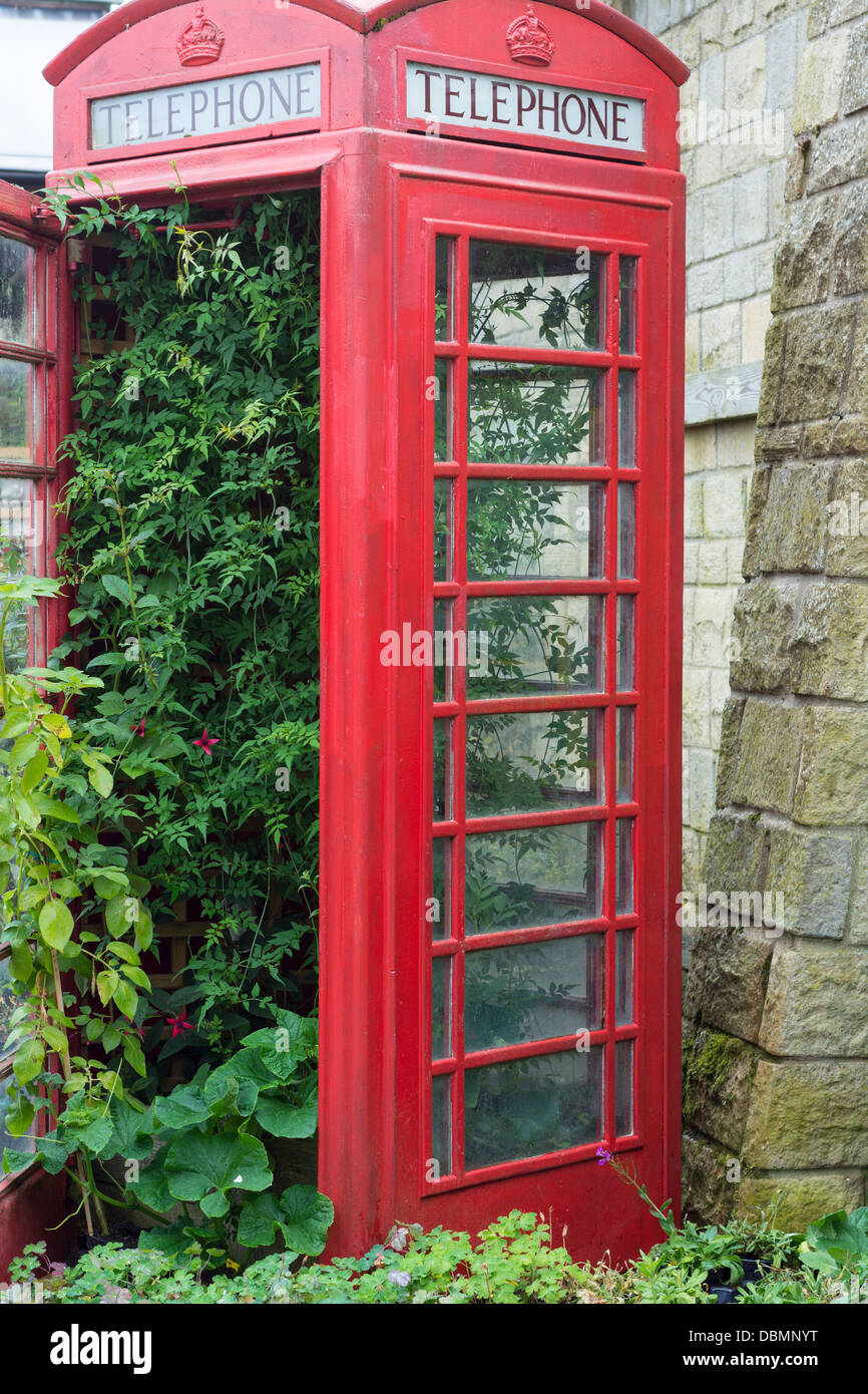 Red telephone box overgrown plants hi-res stock photography and images ...