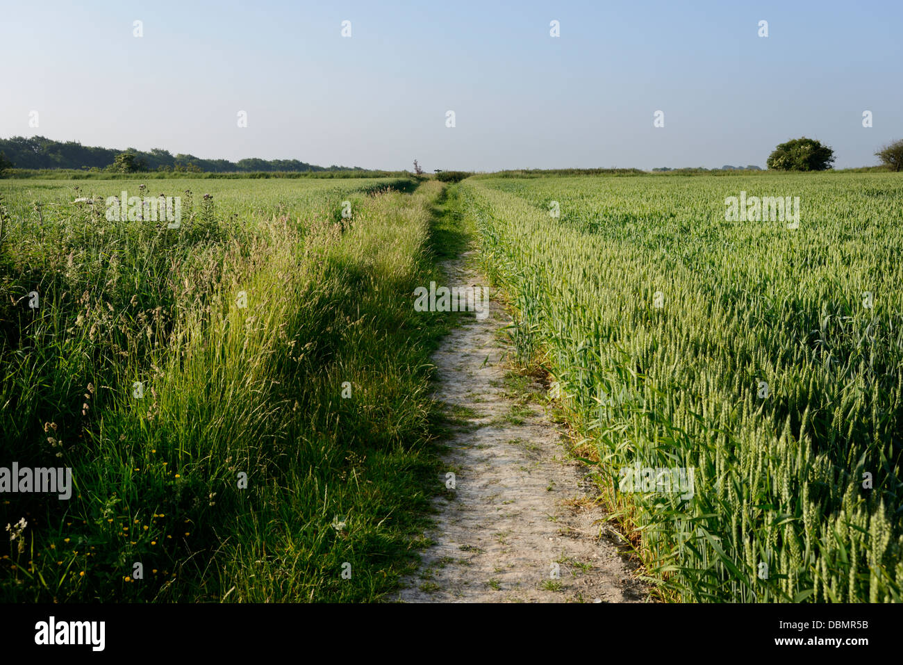 Farmland, Walkers pathway or bridleway, Near 'The Ridgeway' an ancient ...