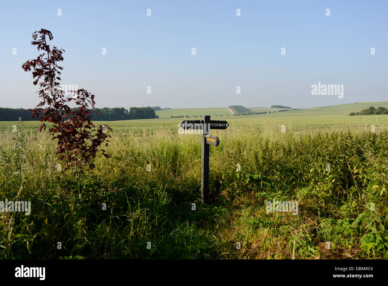 Signs for walkers, pathway or bridleway,'The Ridgeway' an ancient ...
