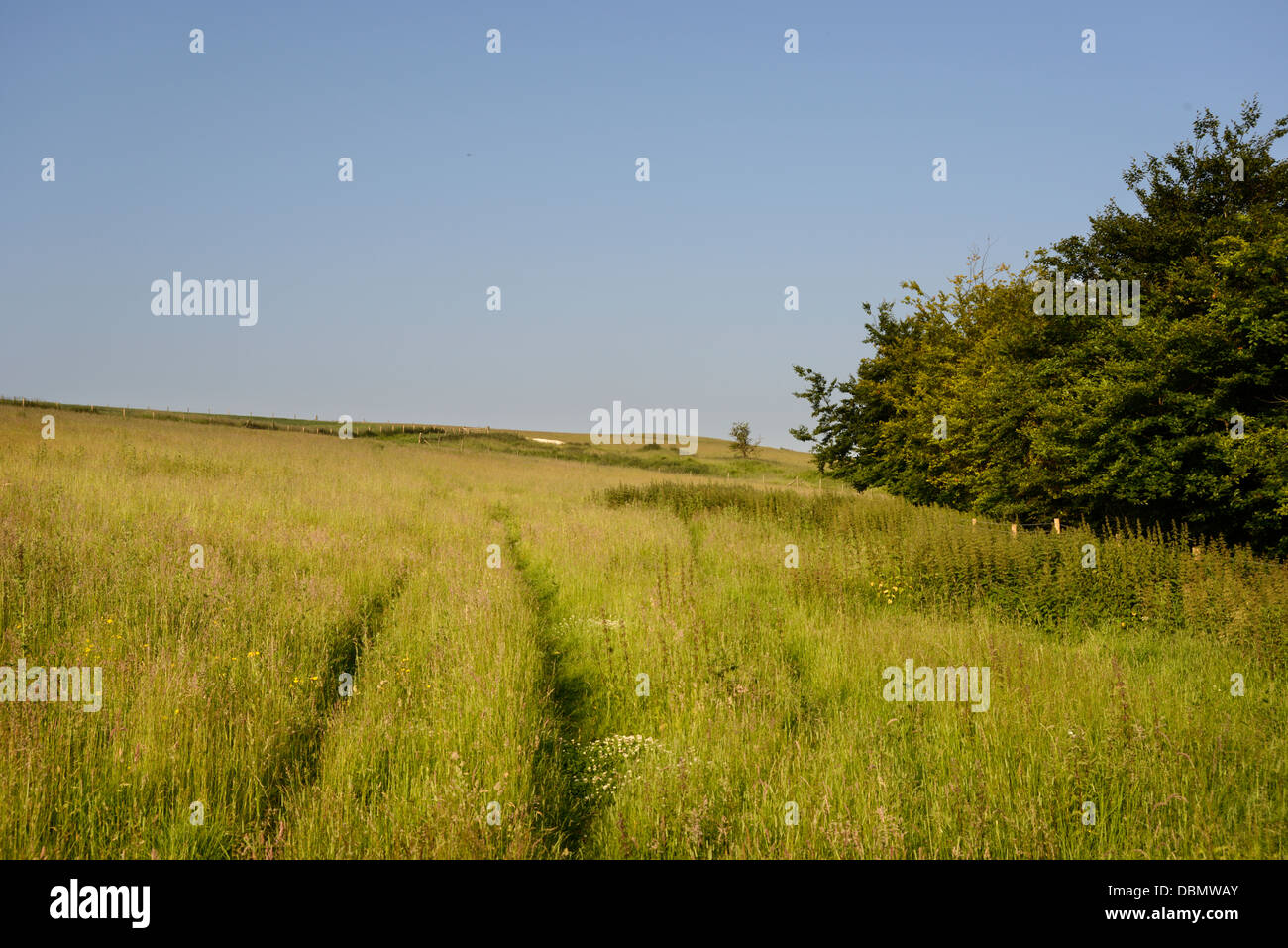 Walkers pathway or bridleway, Near 'The Ridgeway' an ancient pathway on ...