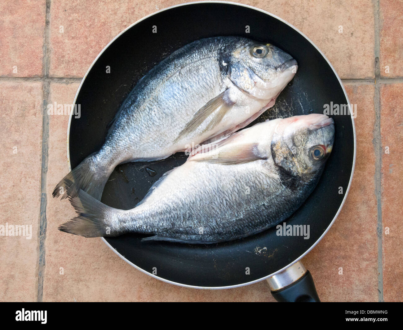 Gilthead seabream fishes (Dourada or Sparus aurata) on the pan ready ...