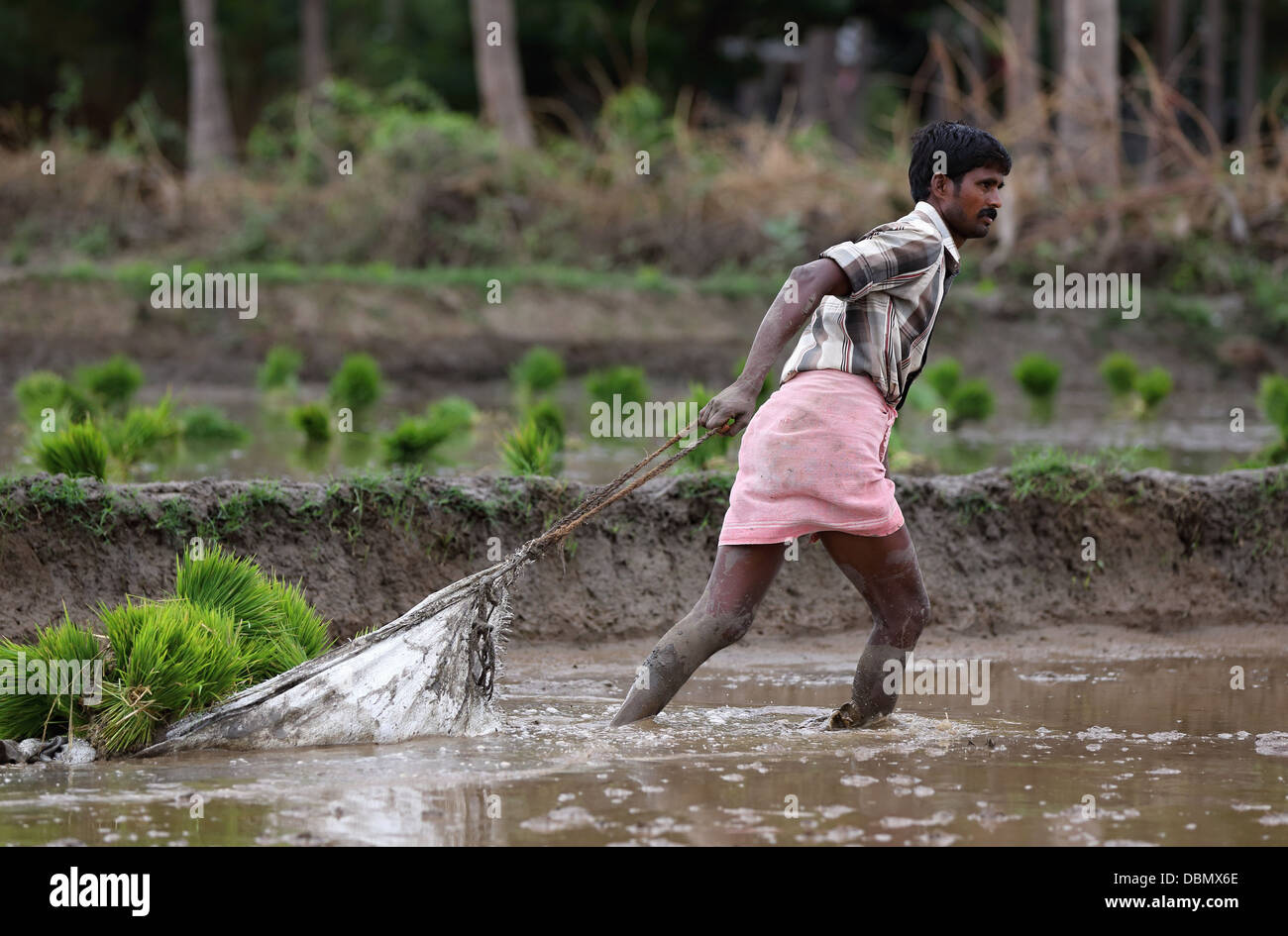 Indian man working hi-res stock photography and images - Alamy