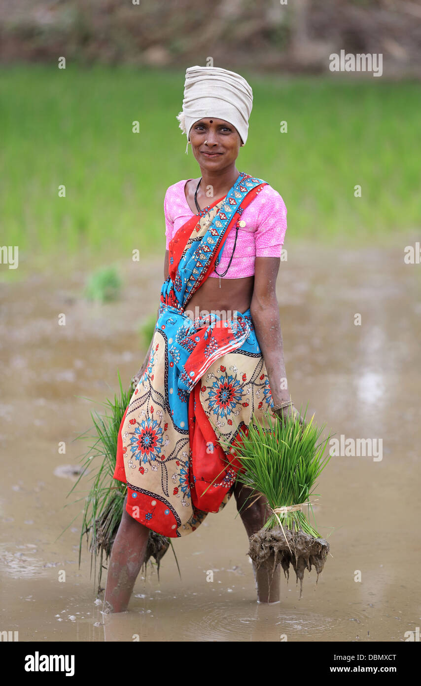 Rural Indian woman working in a paddy field South India Stock Photo - Alamy