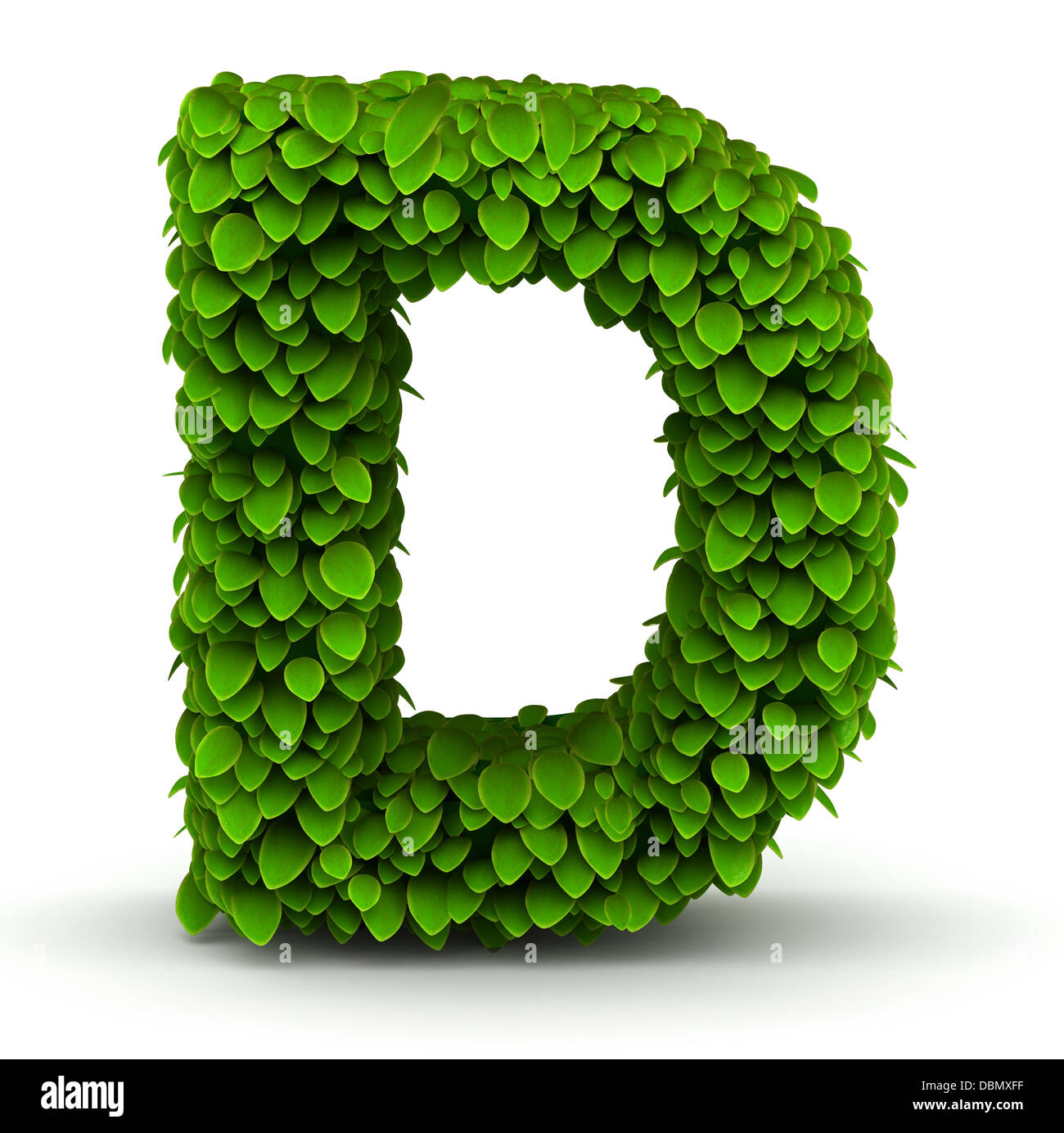 The Letter D In Green