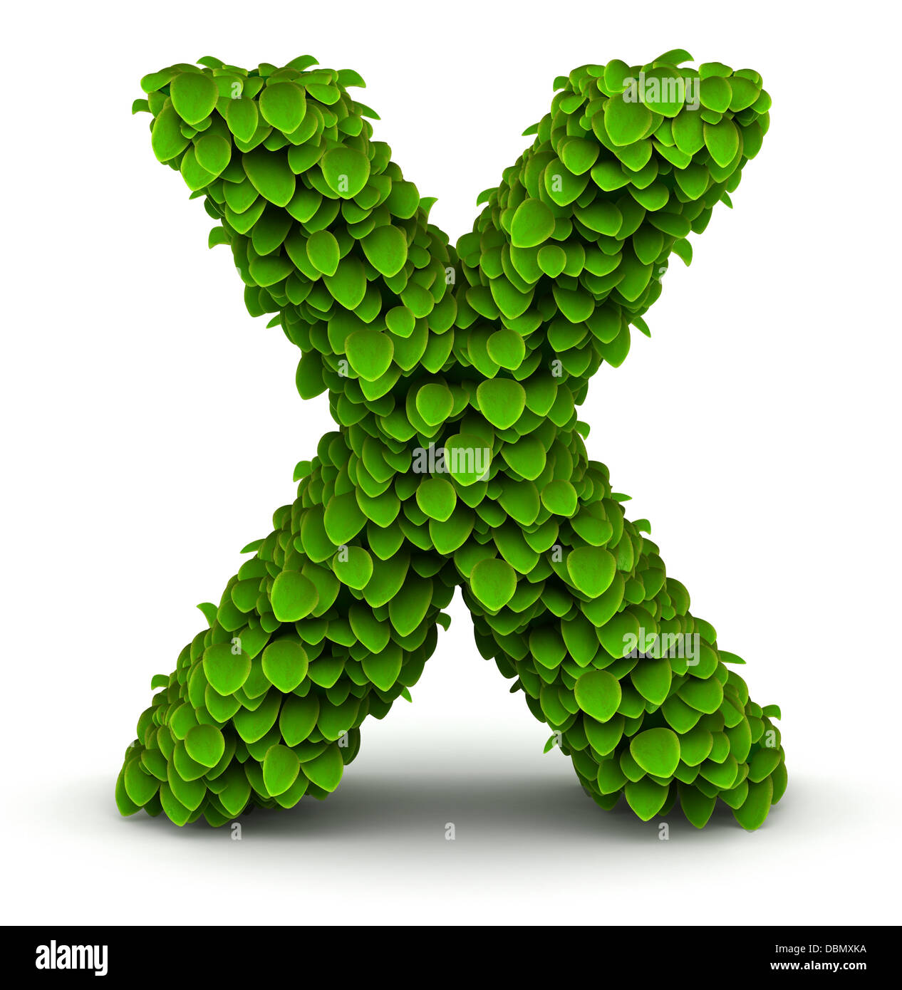 Letter x plant hi-res stock photography and images - Alamy