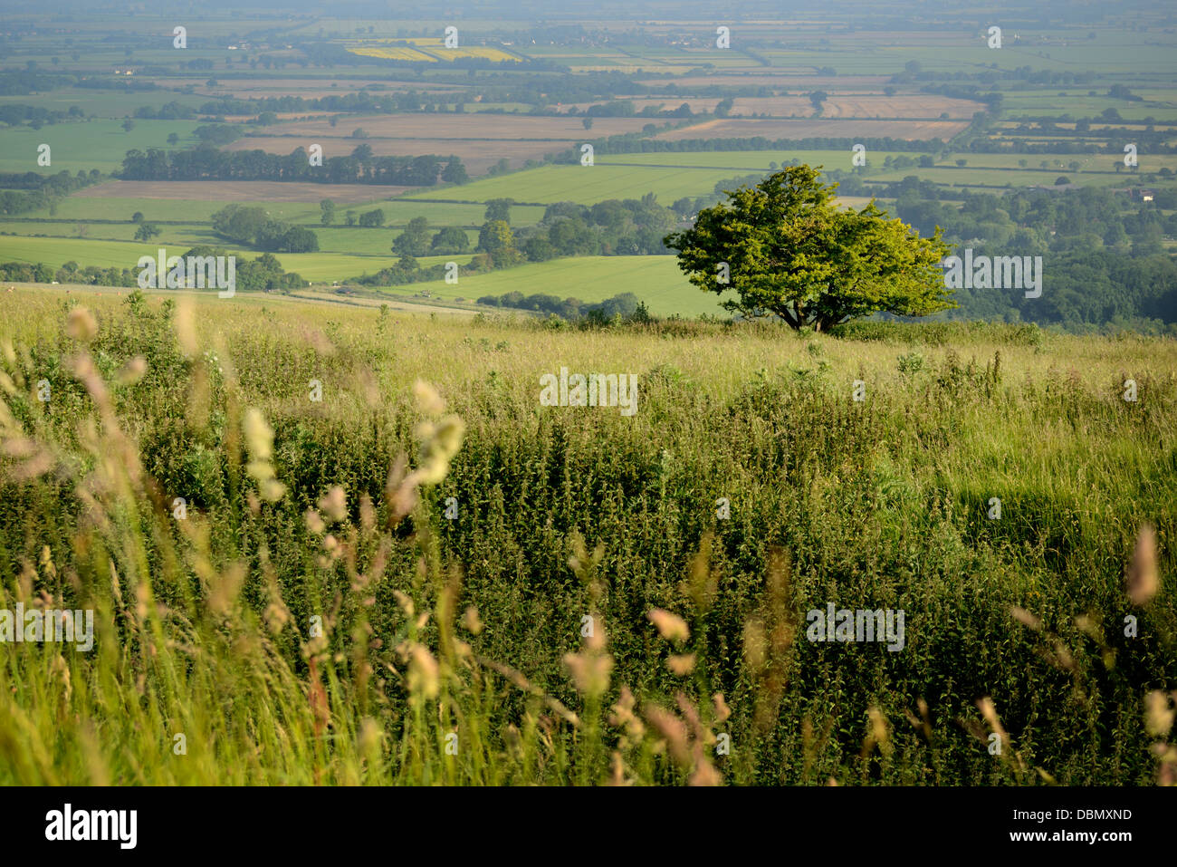 English country walk hi-res stock photography and images - Alamy