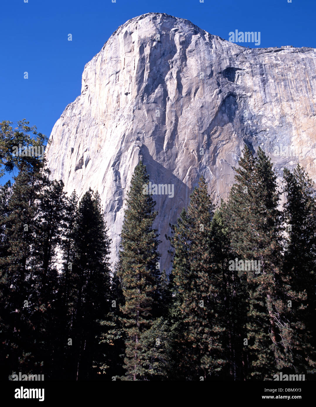 EL Capitan mountain, Yosemite national Park, California, USA Stock ...