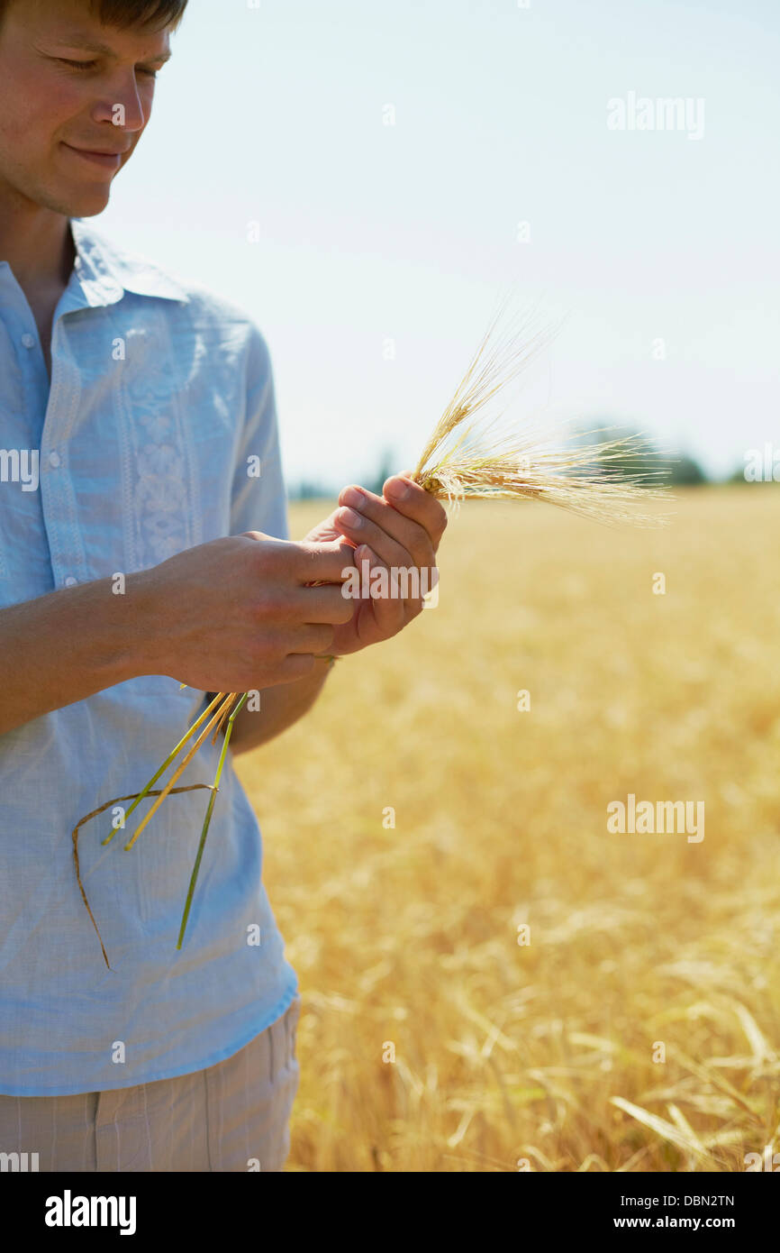 The stalks on the horizon hi-res stock photography and images - Alamy