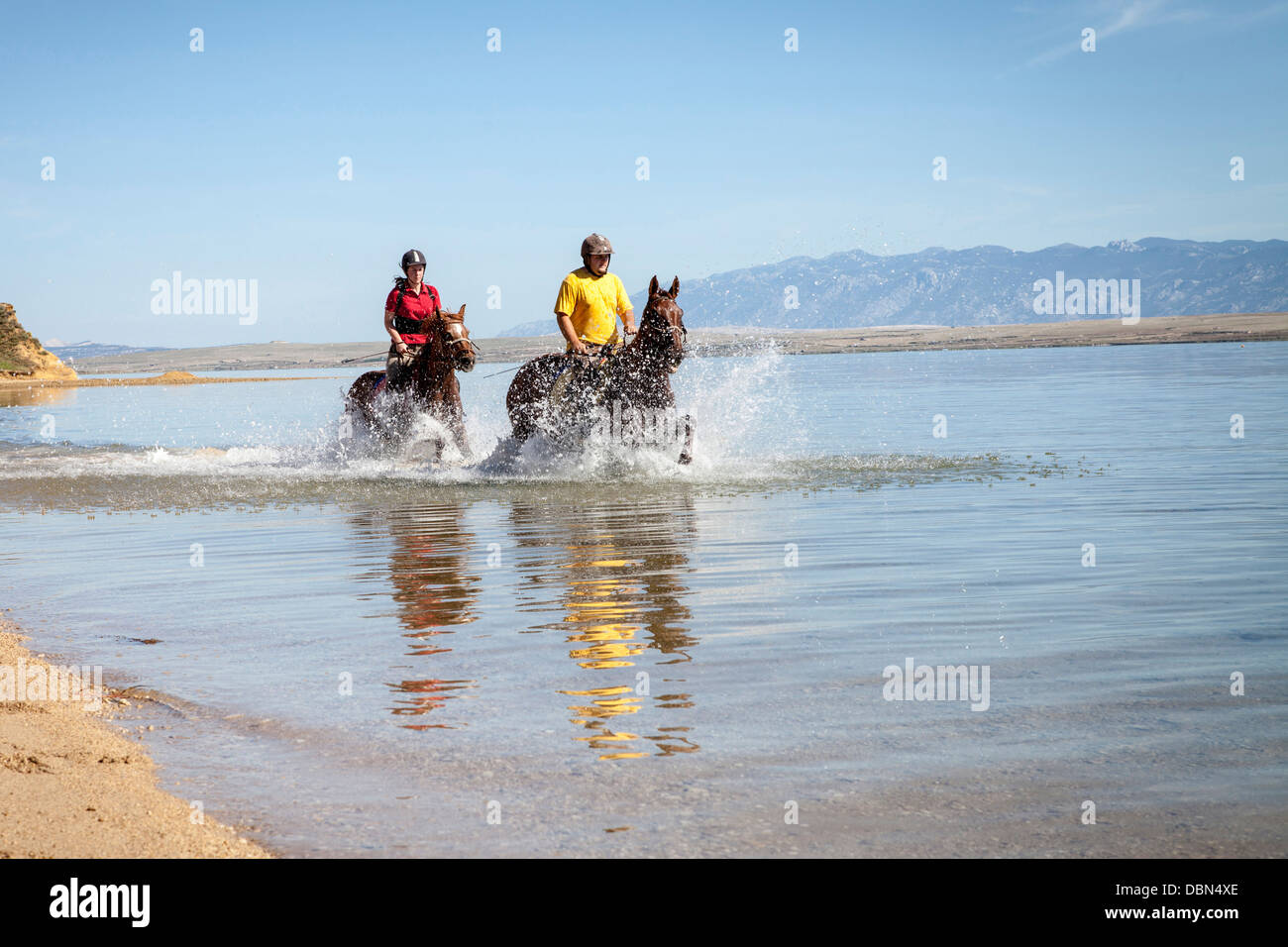 Image sea horse hi-res stock photography and images - Alamy