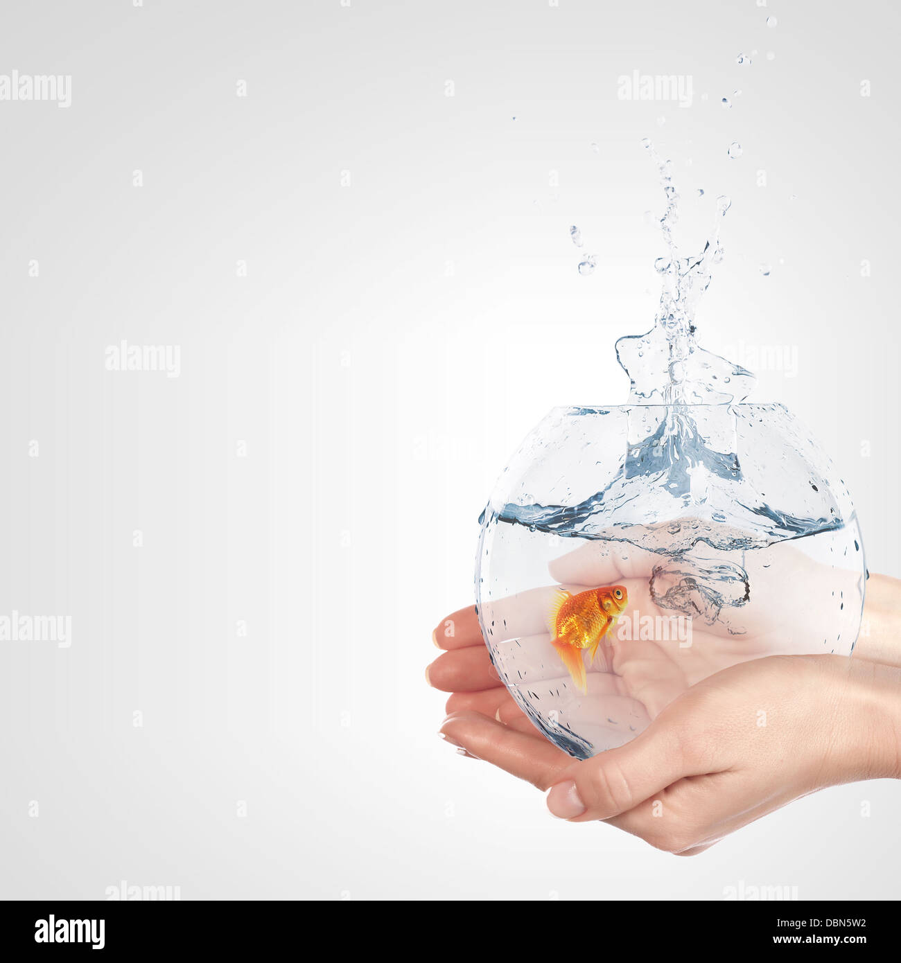Gold fish bowl jump hi-res stock photography and images - Alamy