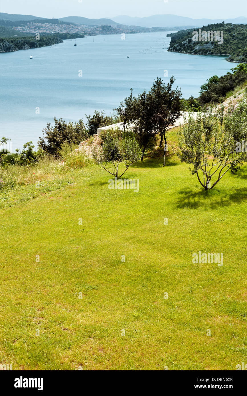 Green bay tree hi-res stock photography and images - Alamy