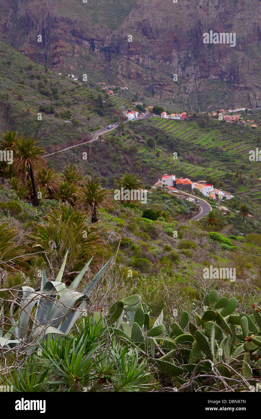 Teneriffa masca hi-res stock photography and images - Alamy