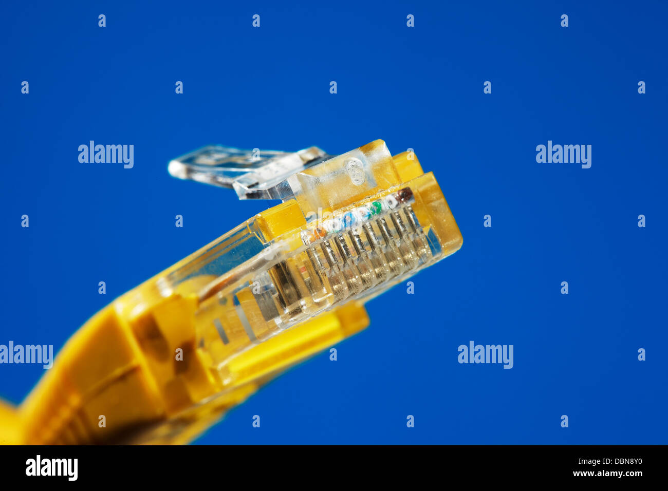 Close up view of Ethernet cable Stock Photo - Alamy