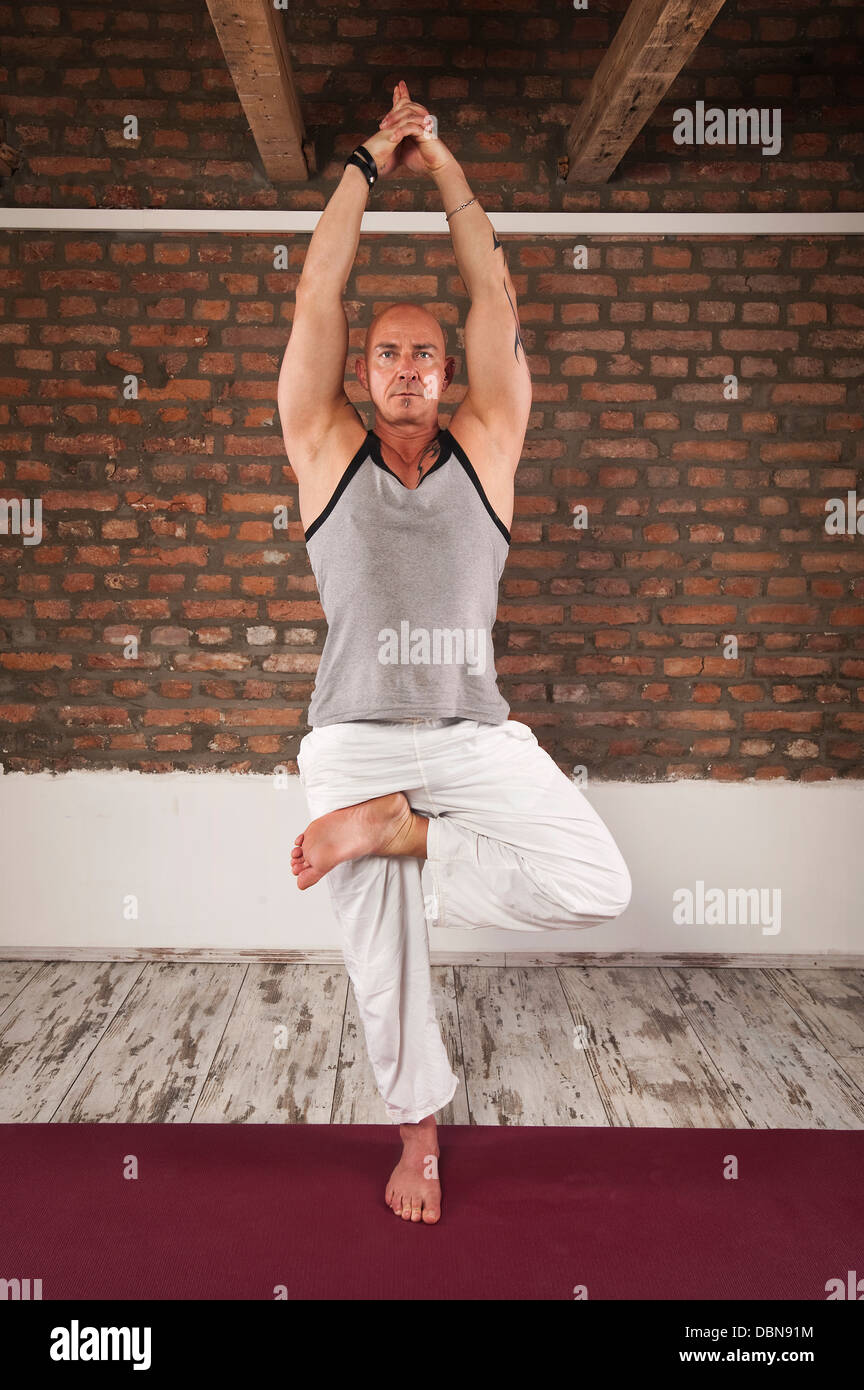 Man Practising Yoga, Tree Pose Stock Photo - Alamy
