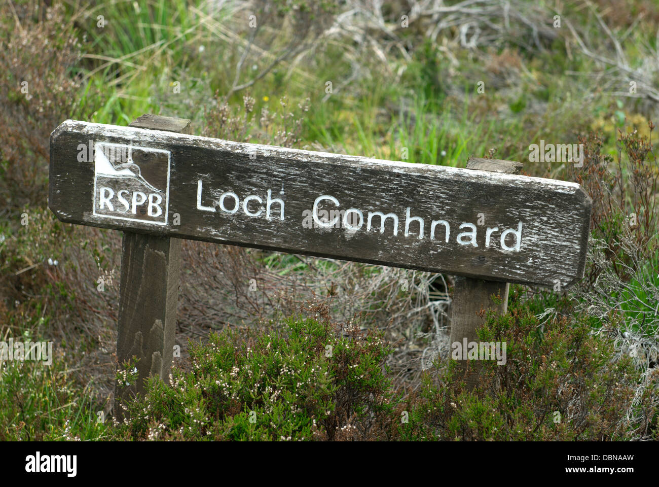 Wooden information sign for Loch Comhnard at the RSPB Corrimony nature ...