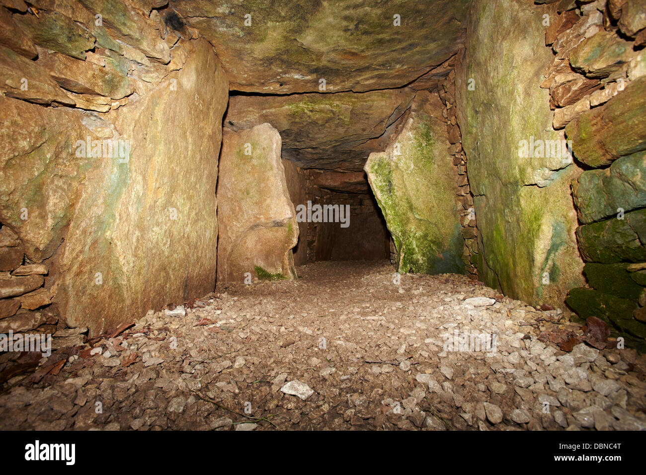 Uley neolithic long barrow hi-res stock photography and images - Alamy