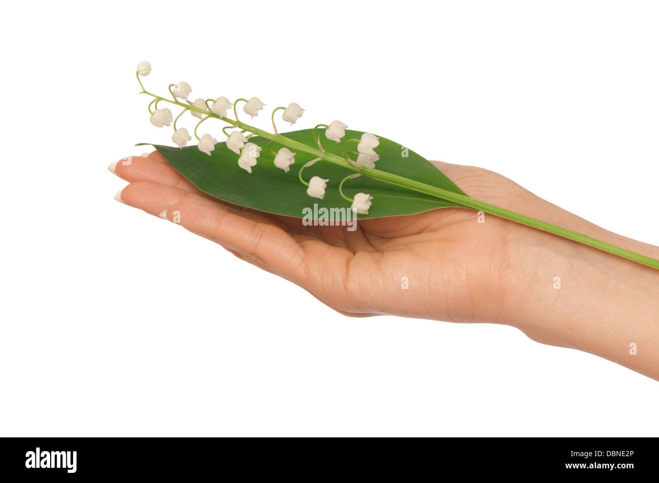 Green grass valley Cut Out Stock Images & Pictures - Alamy