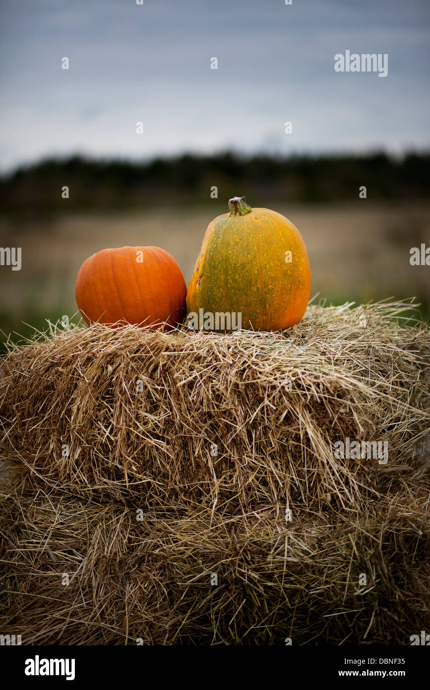 Allvaret hi-res stock photography and images - Alamy