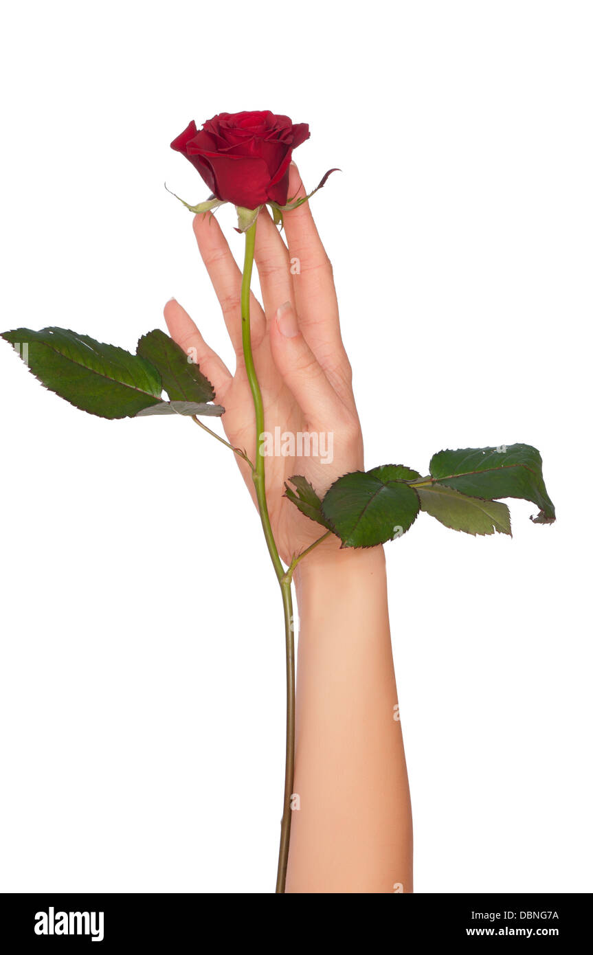 The red rose girls hi-res stock photography and images - Alamy
