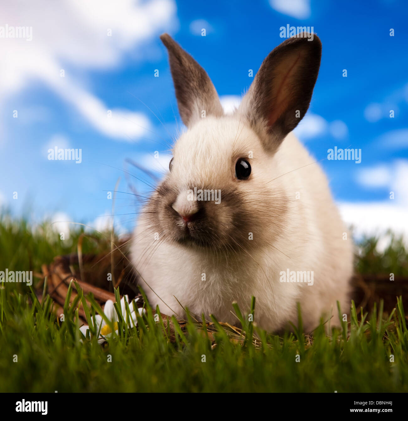 Happycute hi-res stock photography and images - Alamy