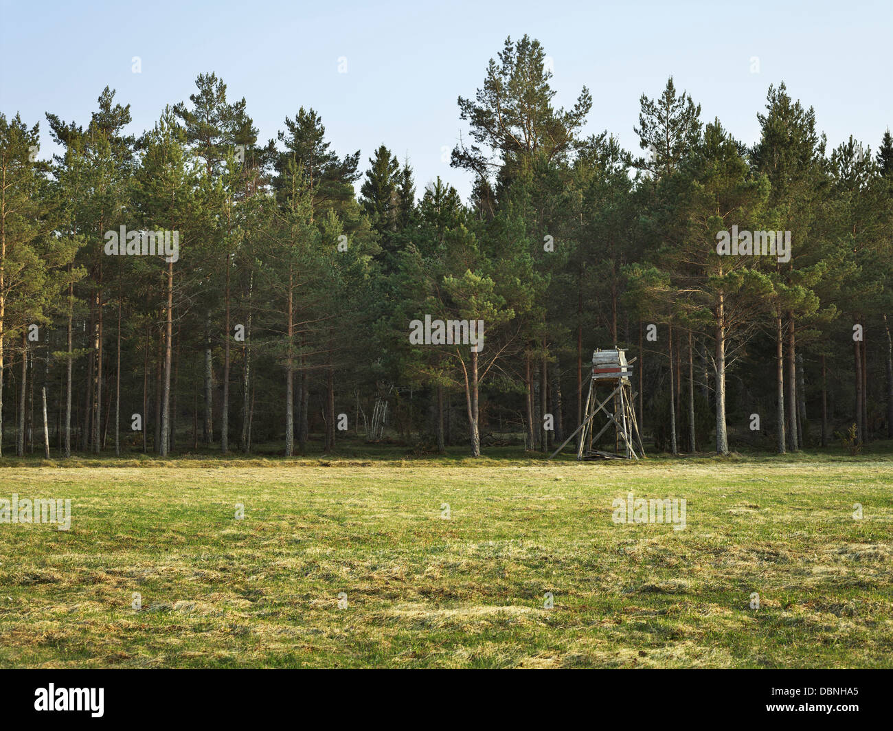 Lookout Tower And Forest High Resolution Stock Photography and Images ...