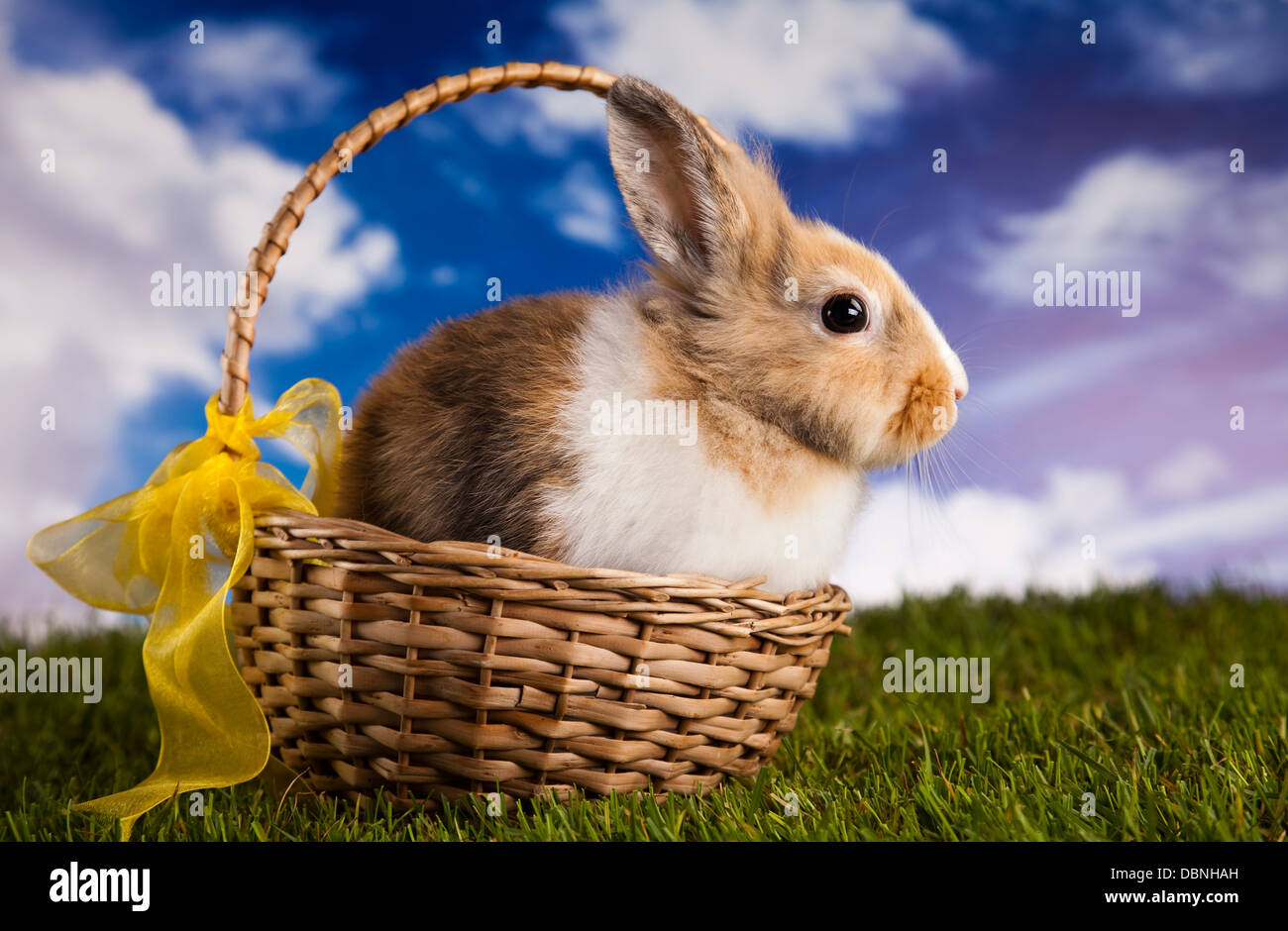 Happycute hi-res stock photography and images - Alamy