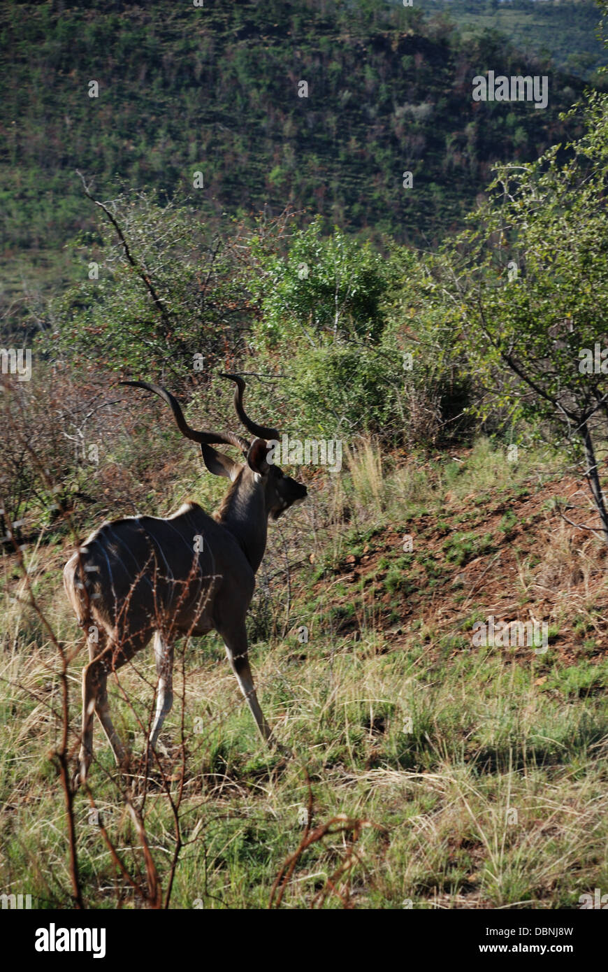 Running a game hi-res stock photography and images - Alamy