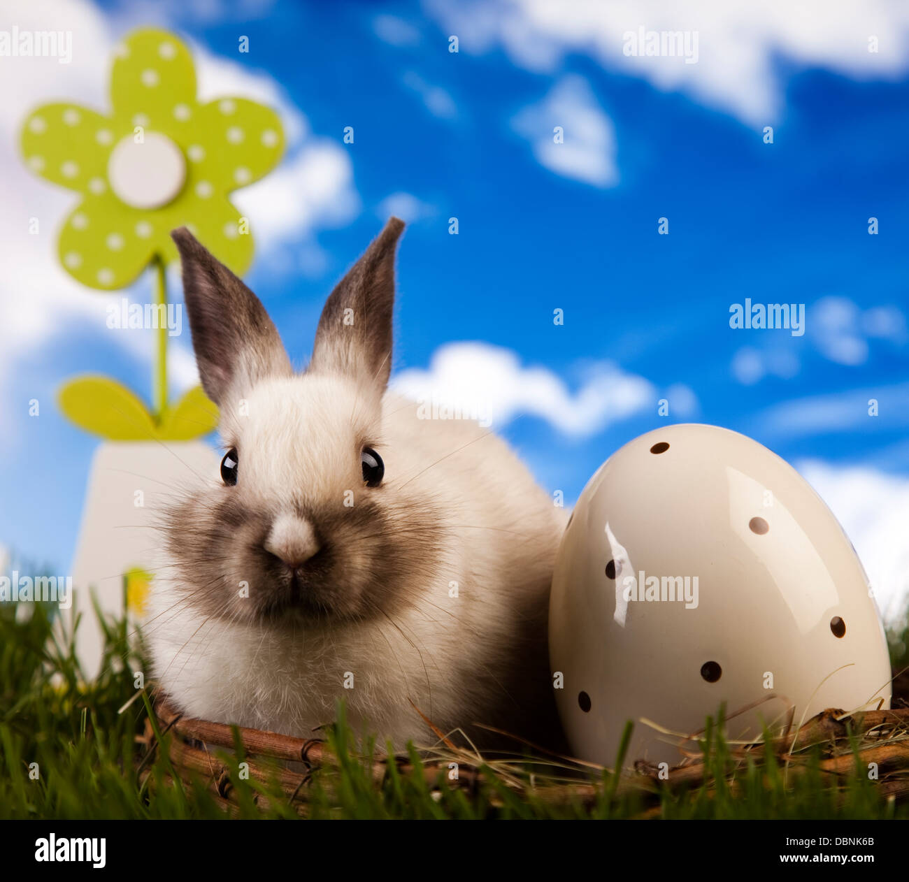 Happycute hi-res stock photography and images - Alamy