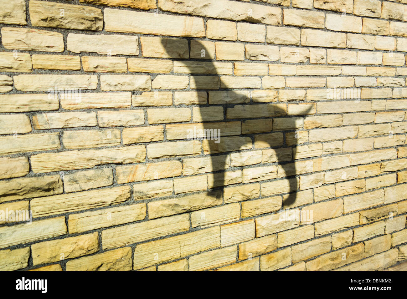 Dog shadow hi-res stock photography and images - Alamy