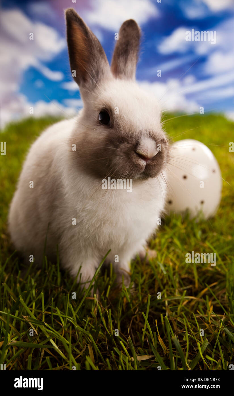 Happycute hi-res stock photography and images - Alamy