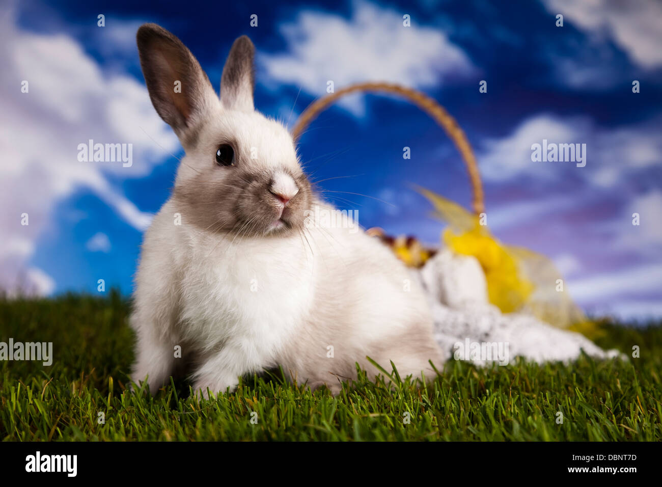Happycute hi-res stock photography and images - Alamy